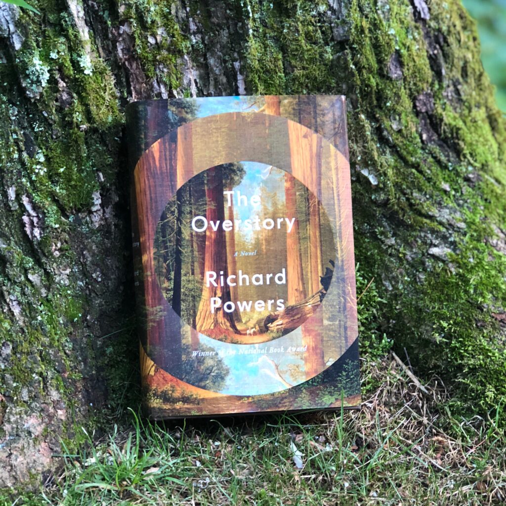 American Chestnut Tree - Texas Trees Foundation