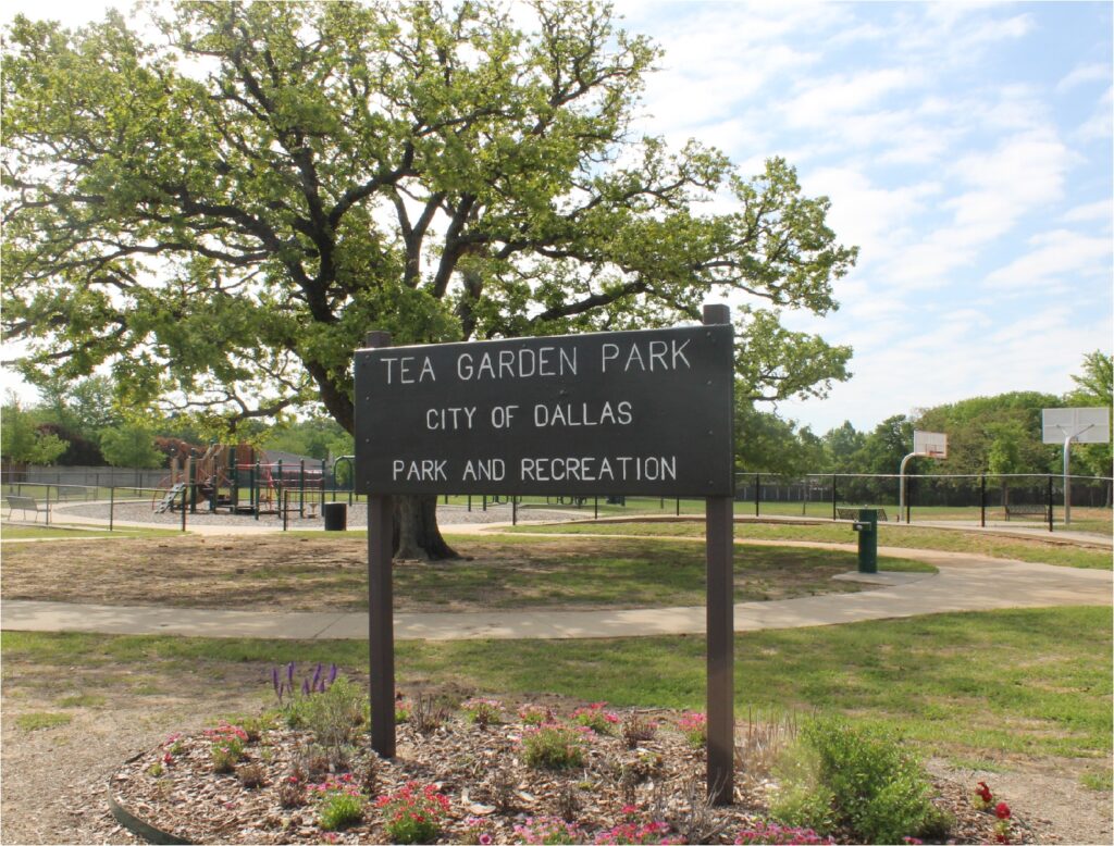 Branching Out - Texas Trees Foundation
