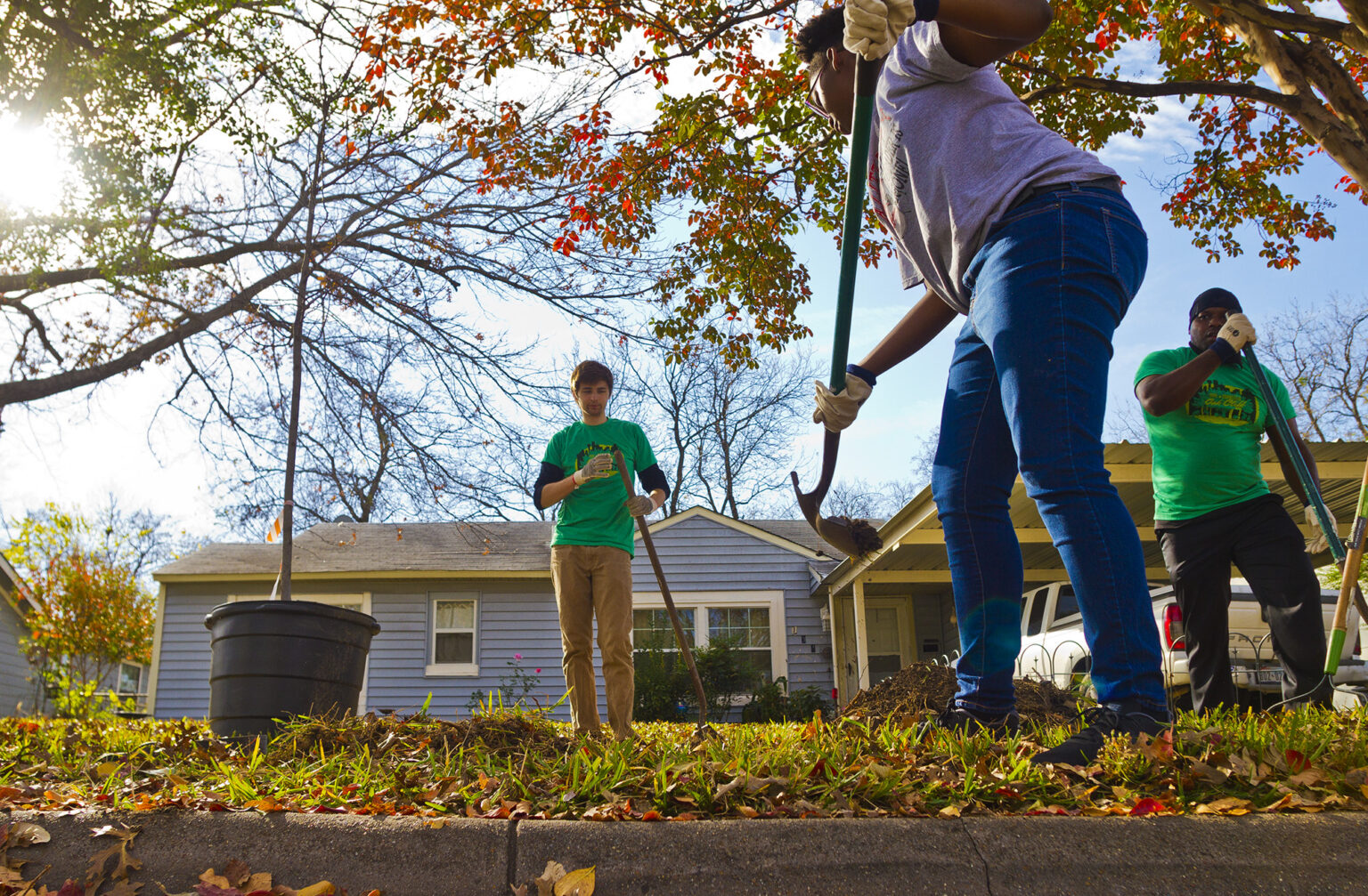 Home - Texas Trees Foundation