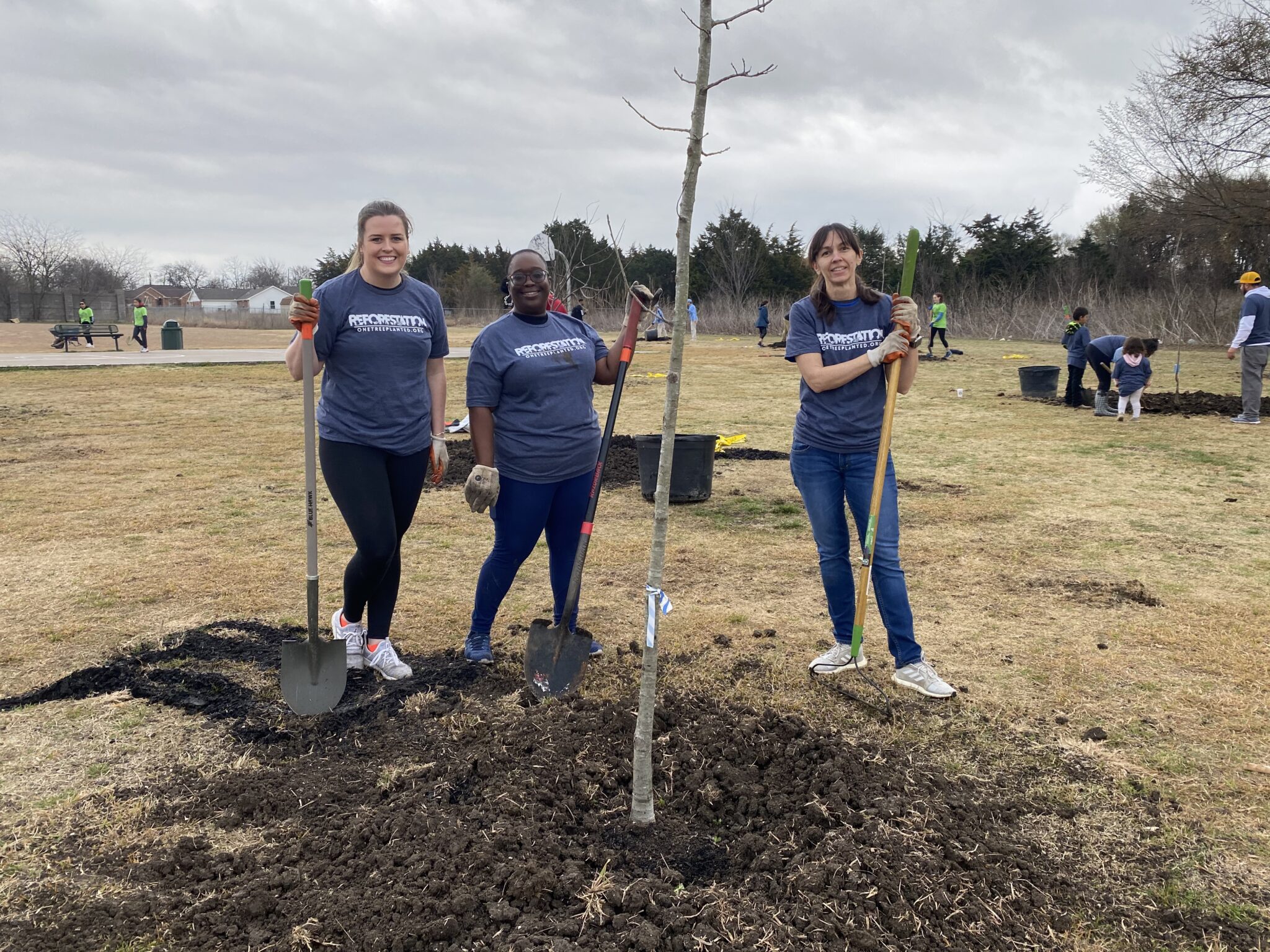 Cool Schools - Texas Trees Foundation