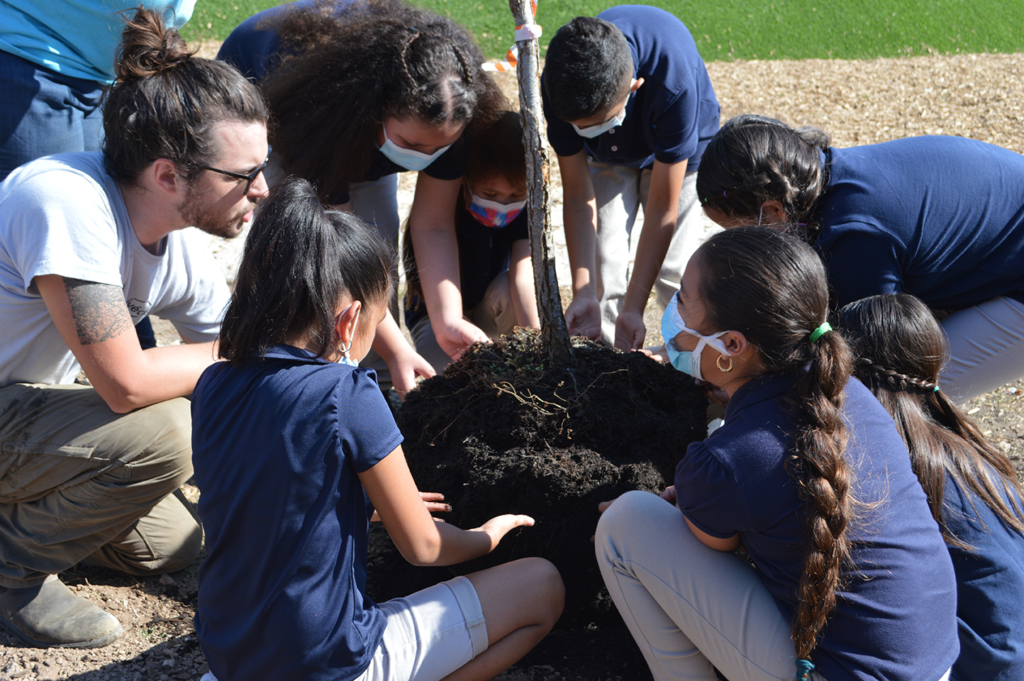 Get Involved - Texas Trees Foundation