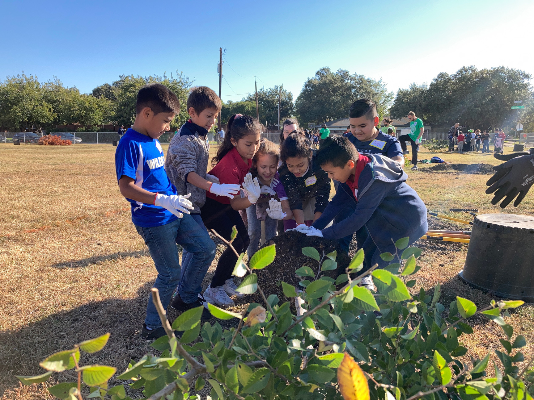 F.P. Caillet Elementary - Texas Trees Foundation