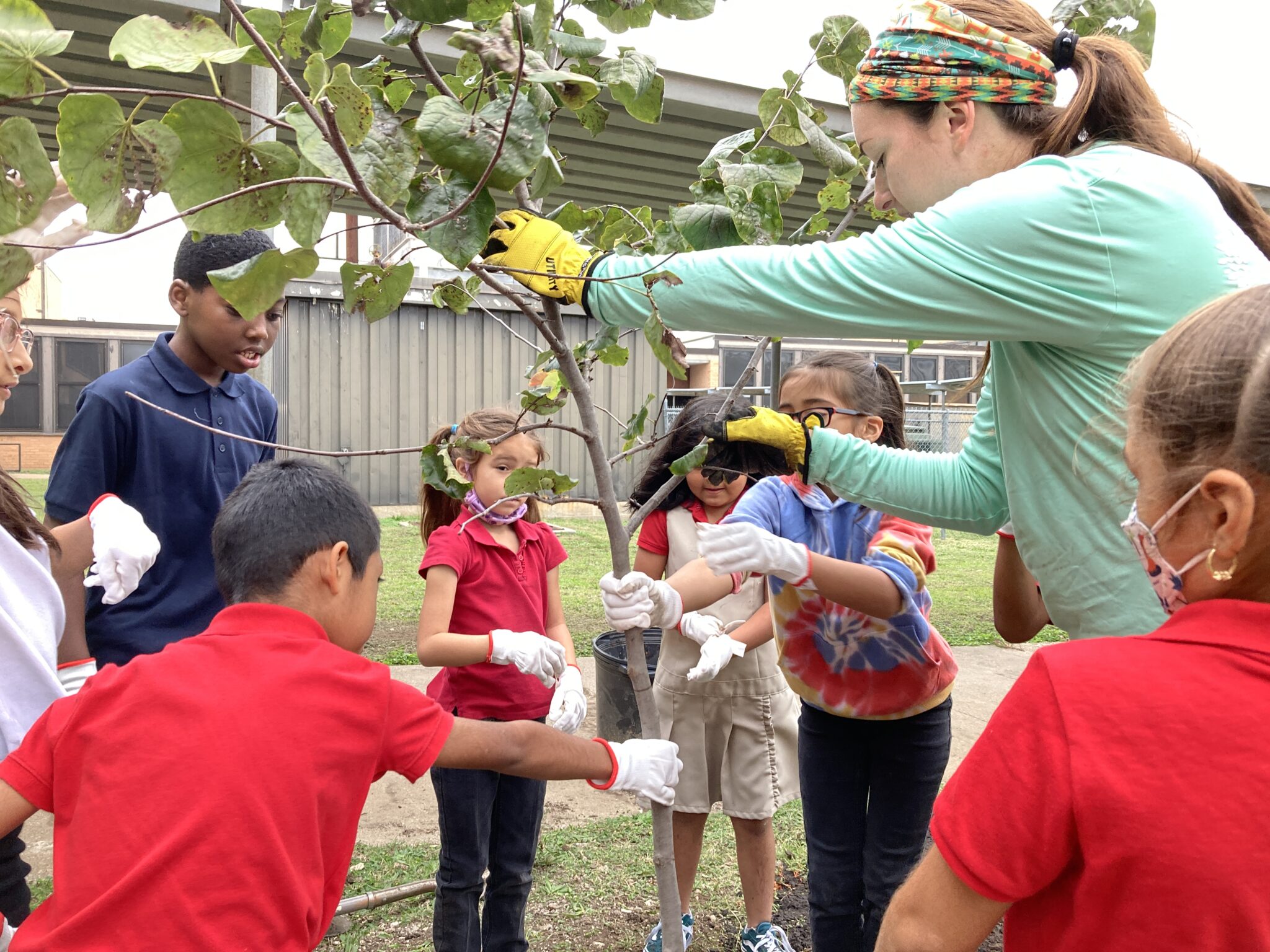 Cool Schools Neighborhood Parks Offer Green Space to Dallas Residents ...