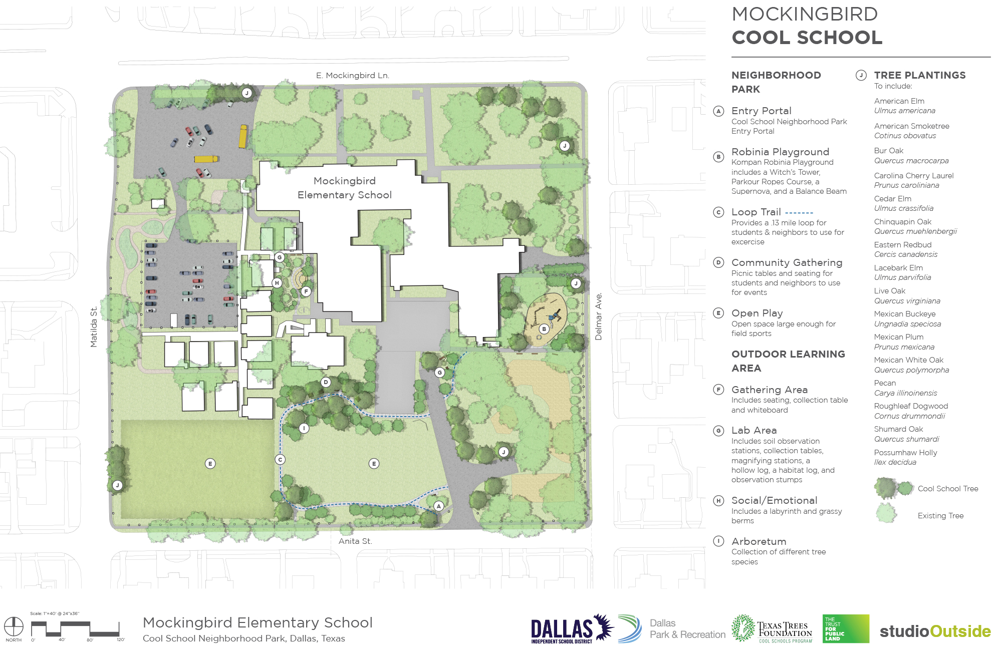 Mockingbird Elementary School - Texas Trees Foundation
