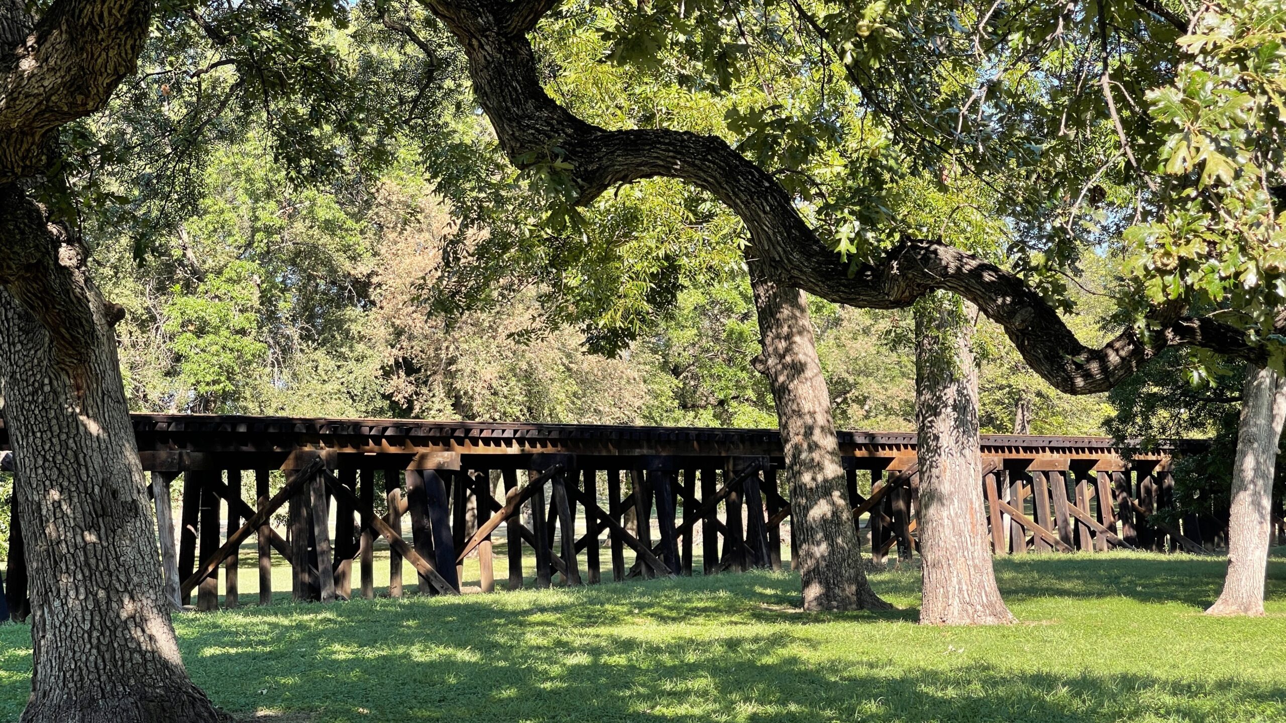 Fort Worth Urban Forest Master Plan - Texas Trees Foundation