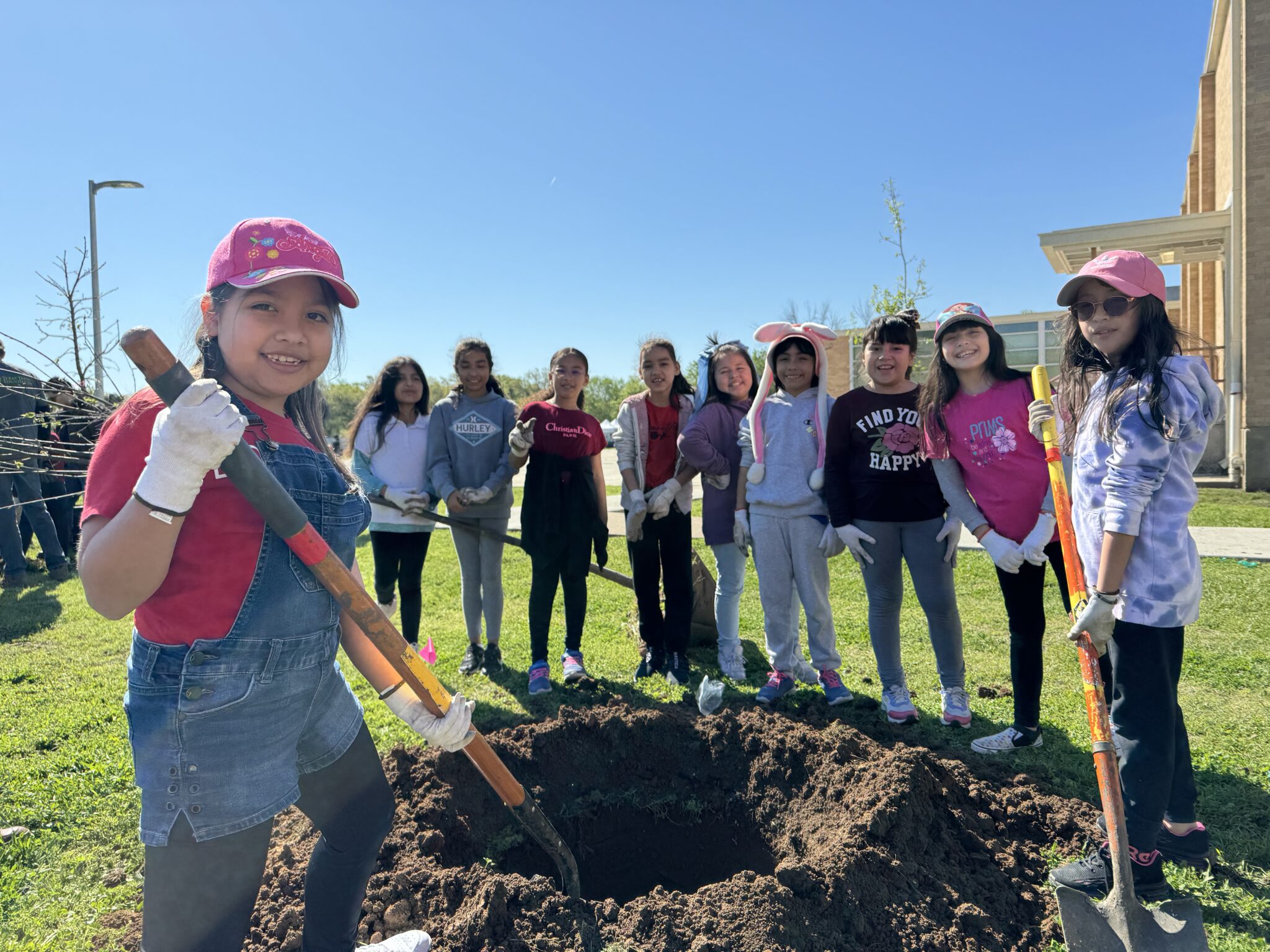 Home - Texas Trees Foundation