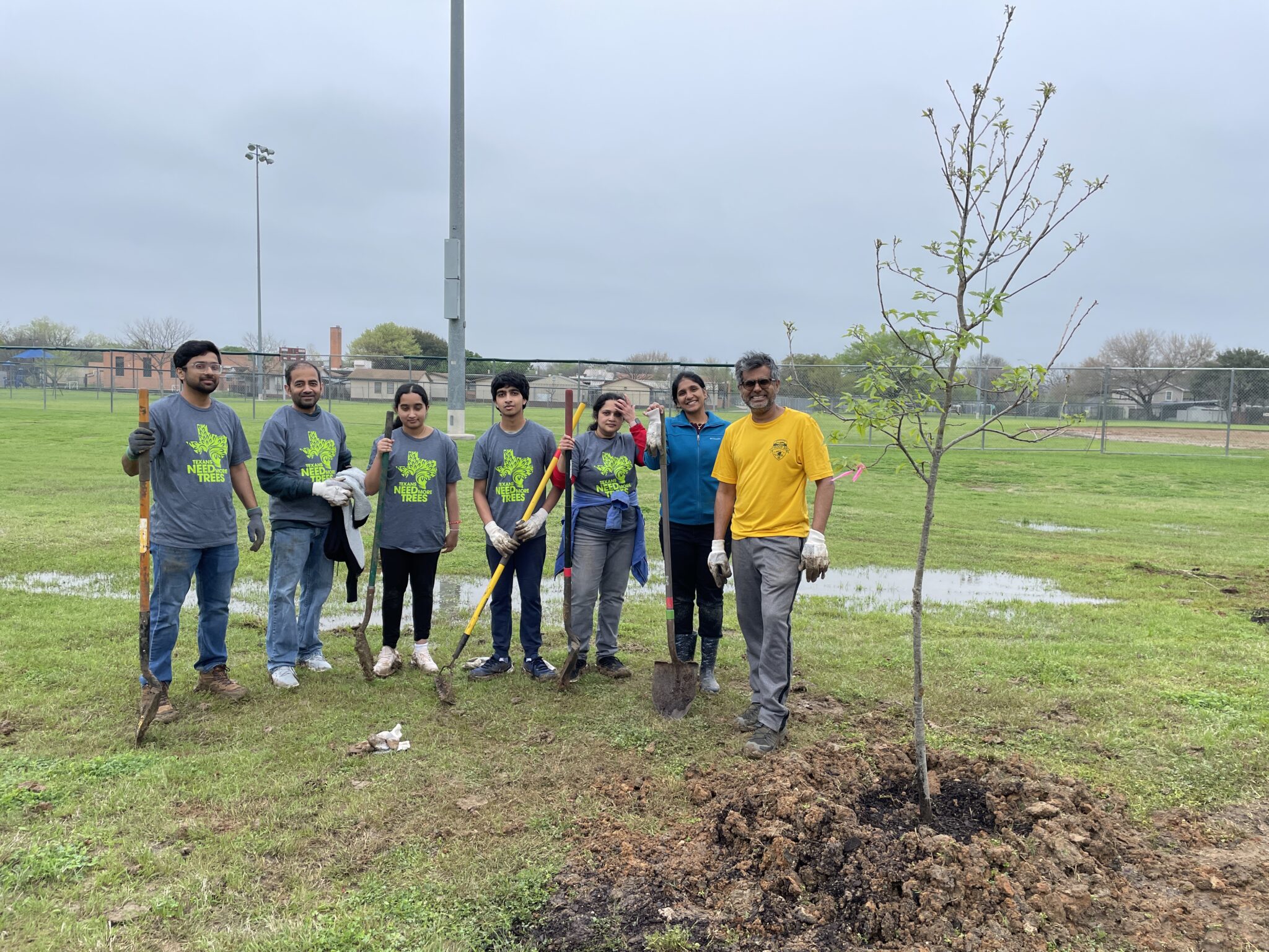 Home - Texas Trees Foundation
