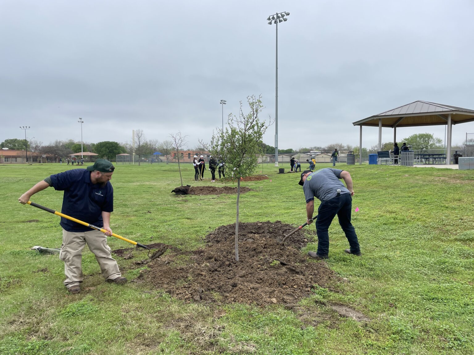 50 New Trees Planted at Jaycee Zaragoza Park with Help from the ...