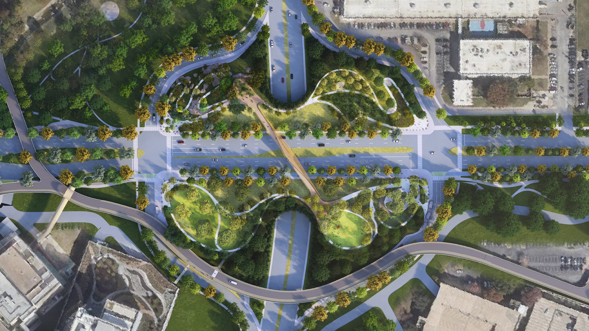 Home - Texas Trees Foundation