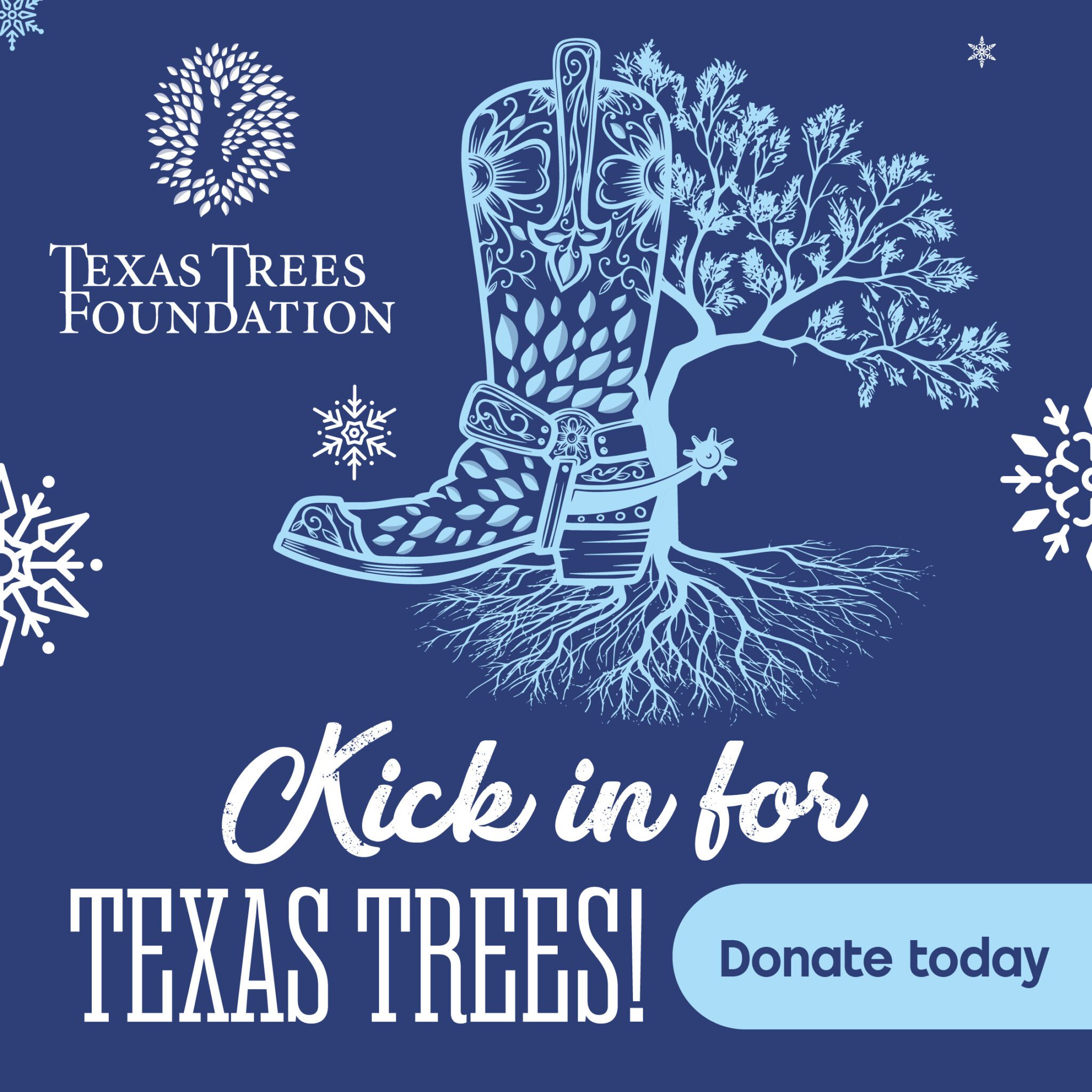 Home - Texas Trees Foundation