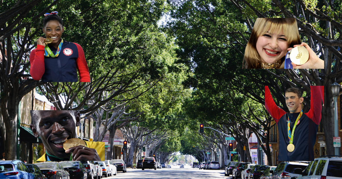 The link between Cardiovascular Health and Trees - Texas Trees Foundation
